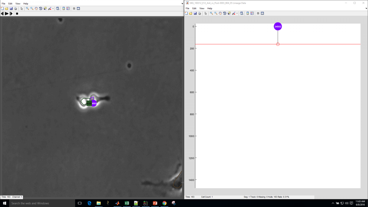 resegment from tree – LEVER